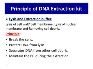 Dna extraction section amany_elshamy | PPT