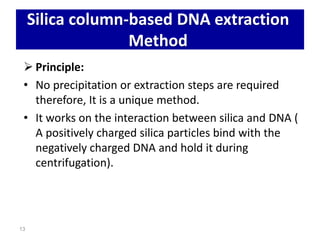 Dna extraction section amany_elshamy | PPT