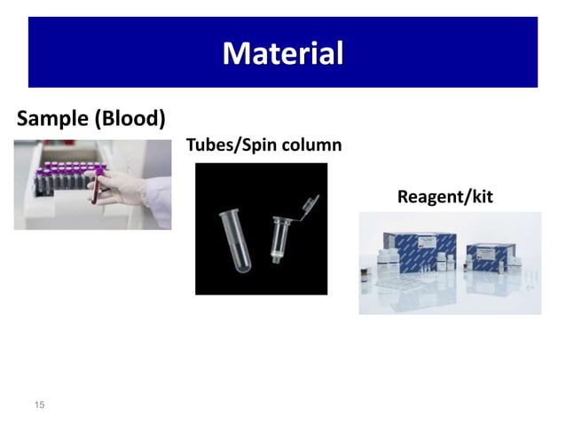 Dna extraction section amany_elshamy | PPT