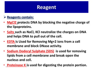 Dna extraction section amany_elshamy | PPT