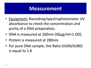 Dna extraction section amany_elshamy | PPT