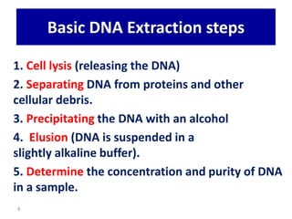 Dna extraction section amany_elshamy | PPT
