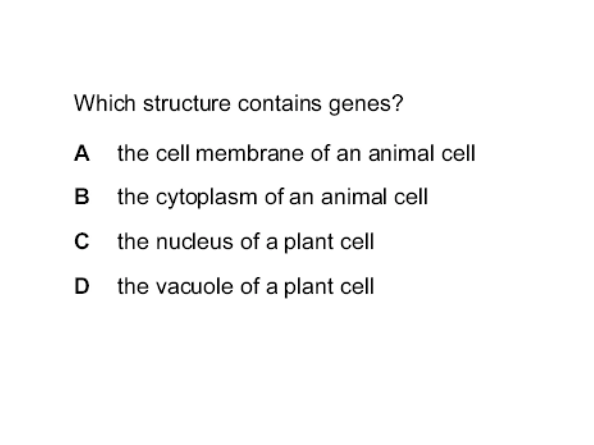 Dna Terms + Questions IGCSE | PPT