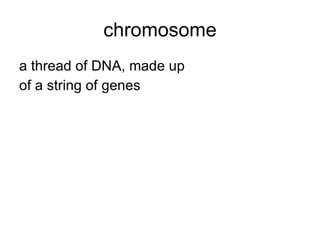 Dna Terms + Questions IGCSE | PPS