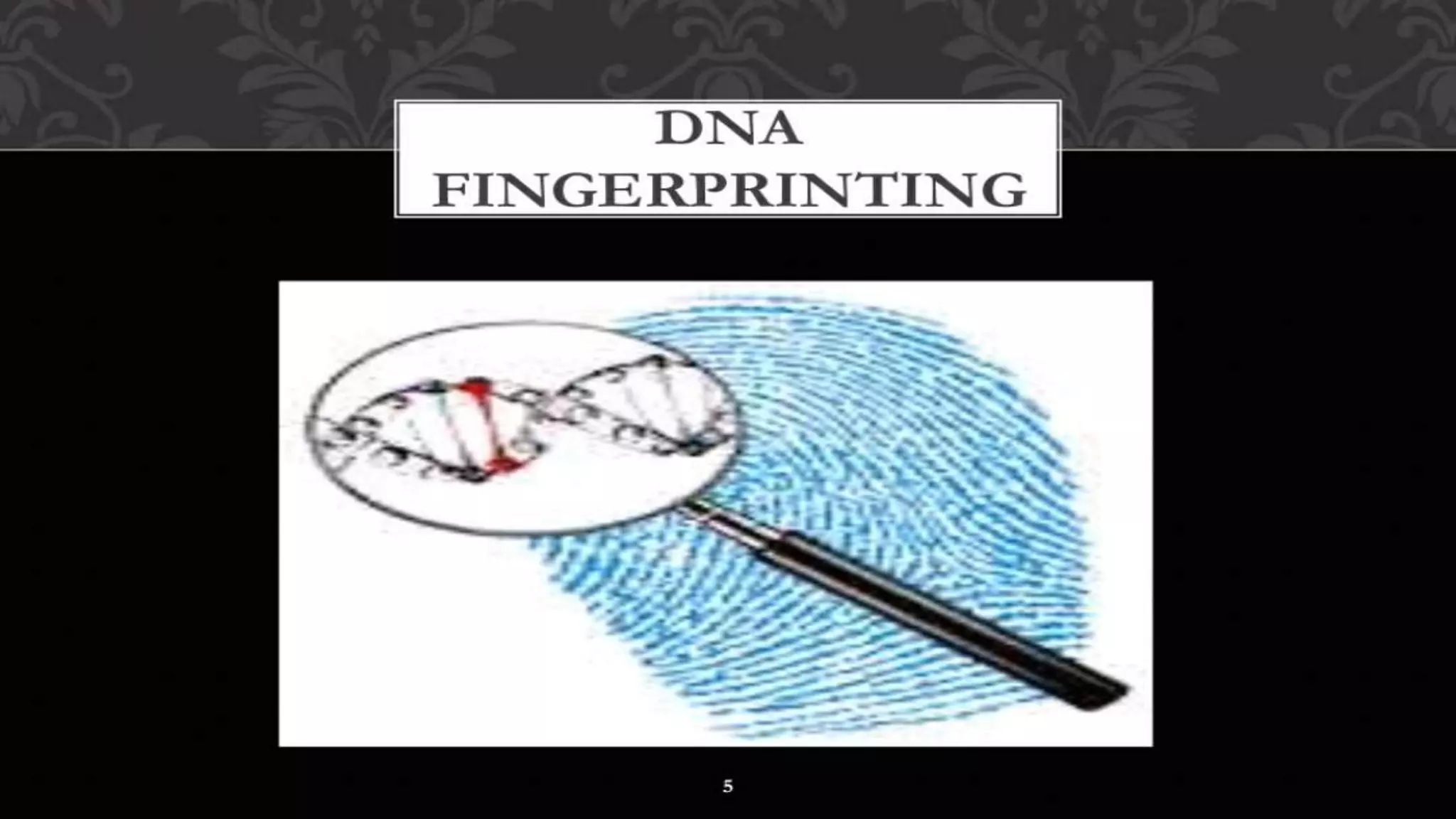 Dna fingerprint.pptx