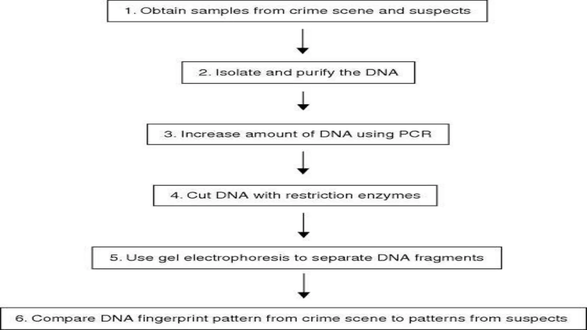 Dna fingerprint.pptx