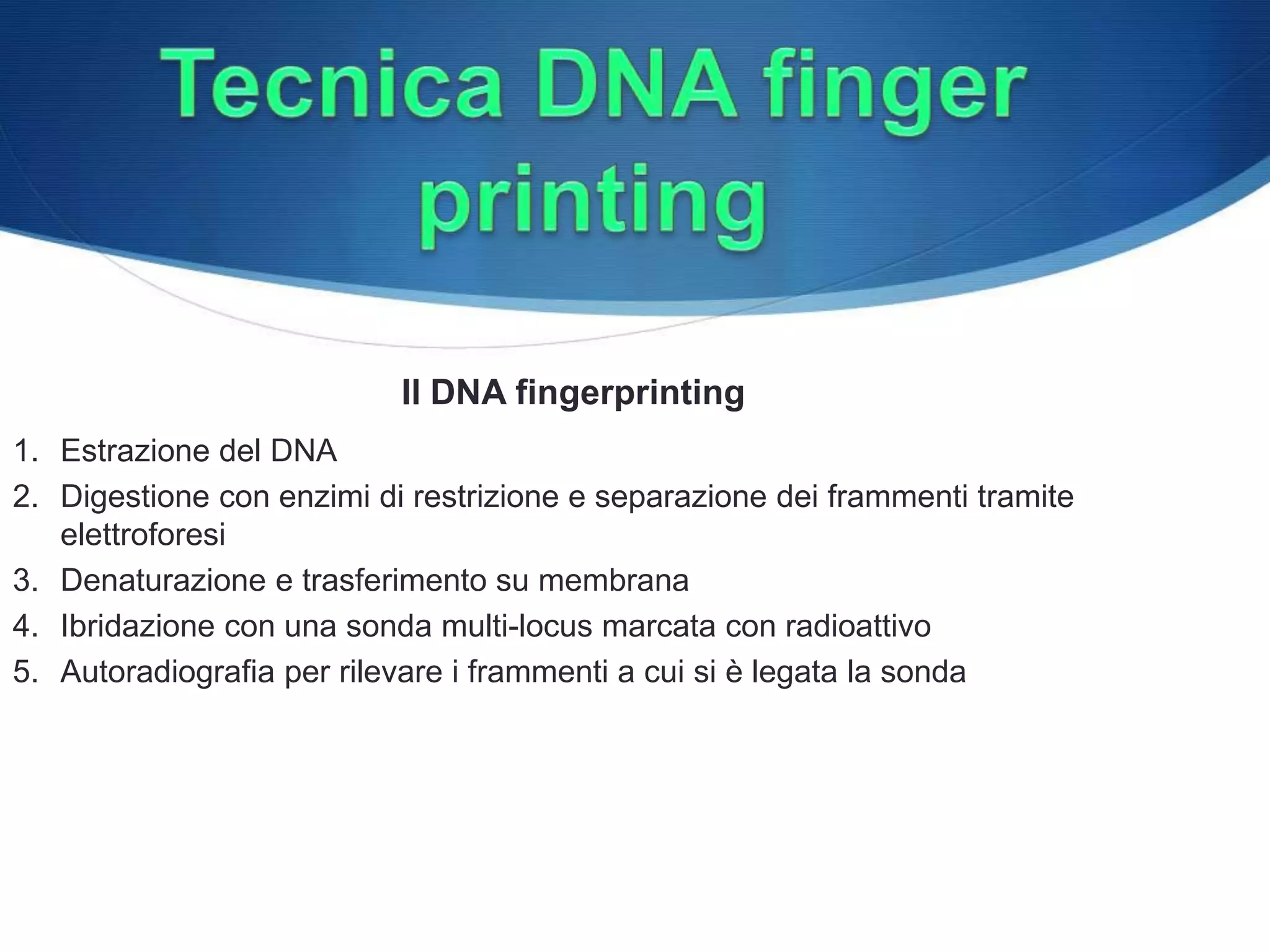 Dna finger print (2) | PPTX