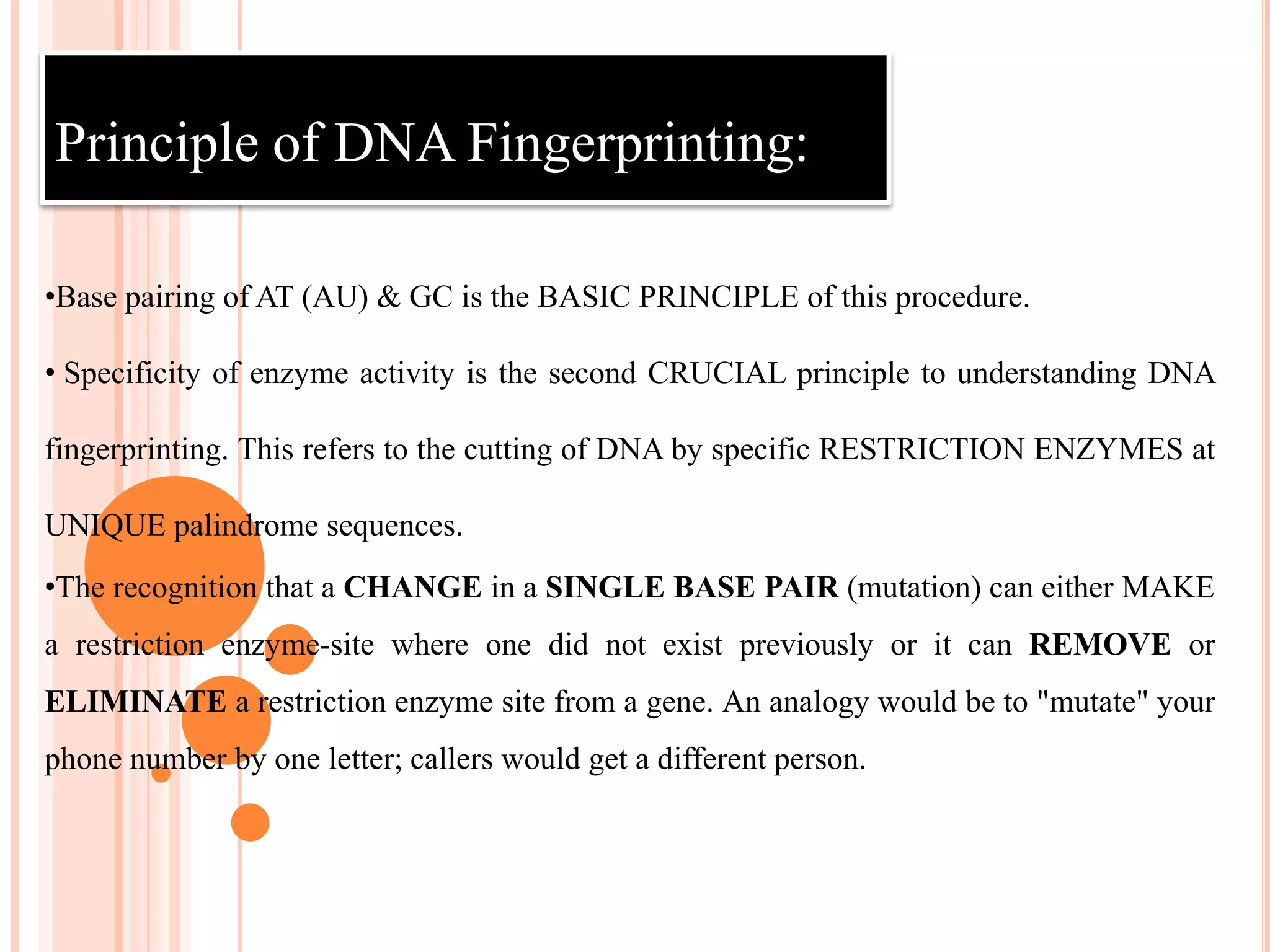 DNA Fingerprinting | PPTX