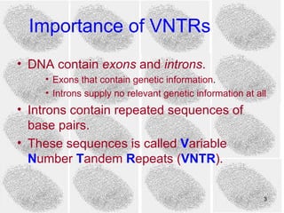DNA fingerprinting | PPT