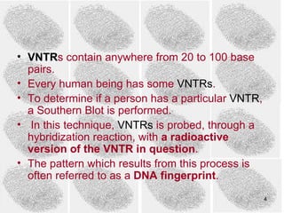 DNA fingerprinting | PPT