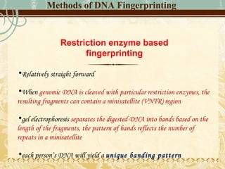 Dna fingerprinting | PPT