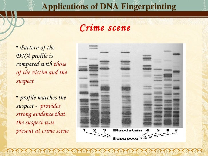 Dna fingerprinting