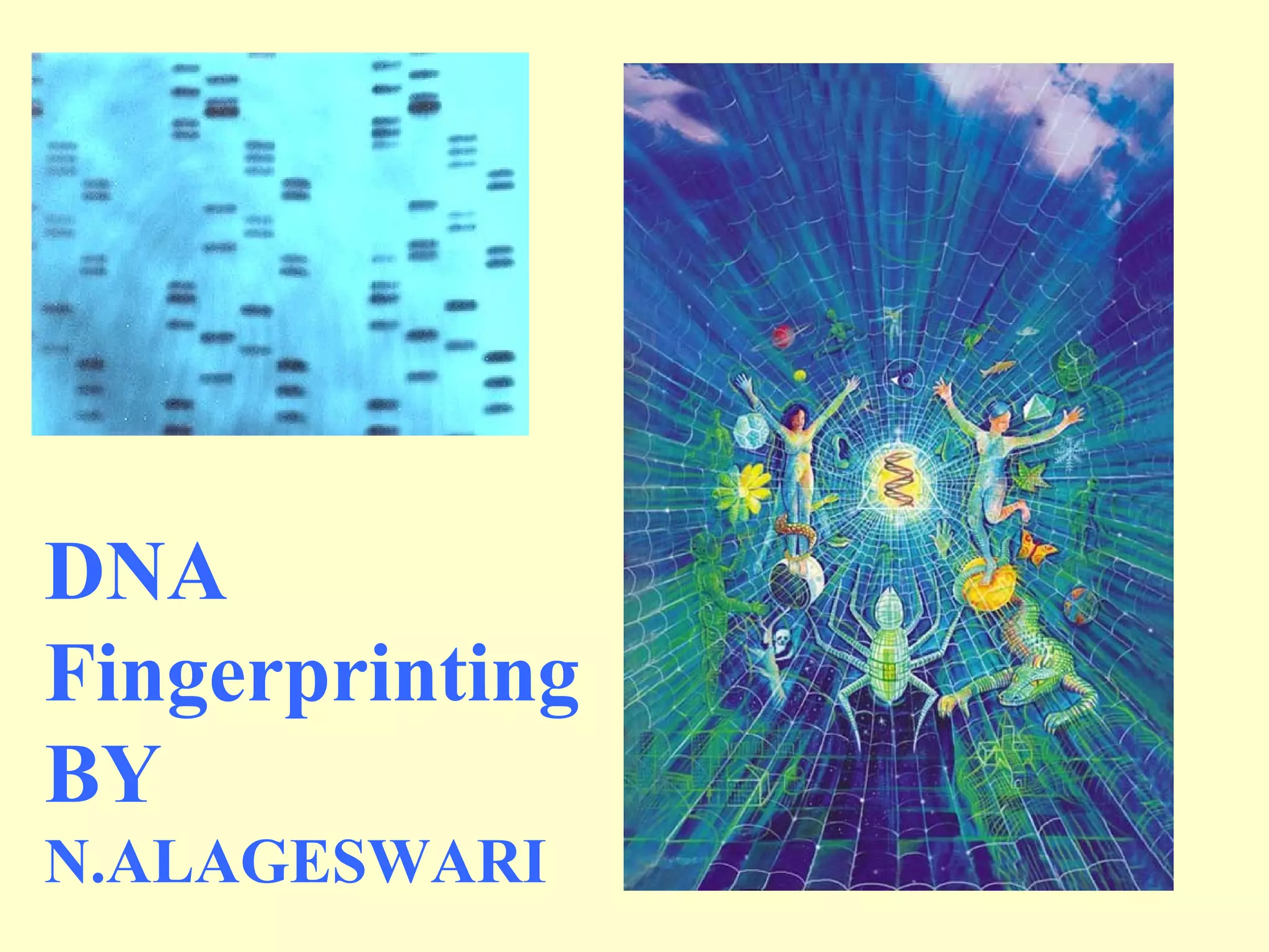 Dna fingerprinting | PPT