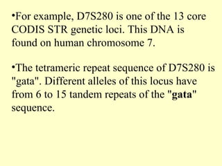 Dna fingerprinting | PPT