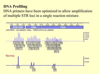 Dna fingerprinting | PPT
