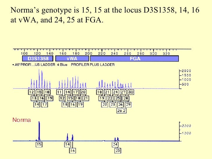 Dna fingerprinting