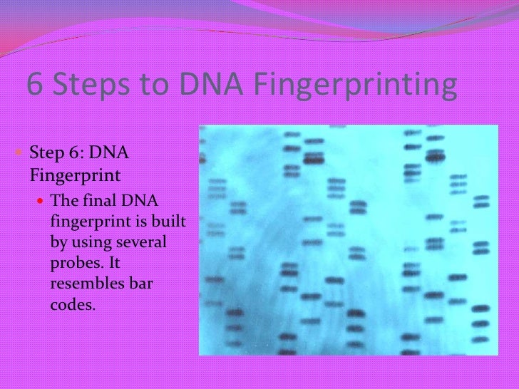 Dna fingerprinting