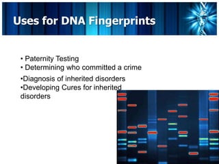 Dna fingerprinting! | PPTX