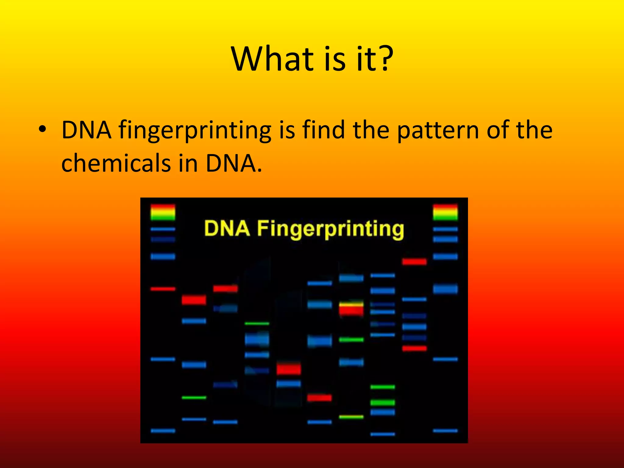 Dna fingerprinting | PPTX | Genetics | Science