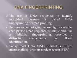Dna fingerprinting | PPTX