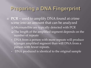 Dna fingerprinting | PPTX