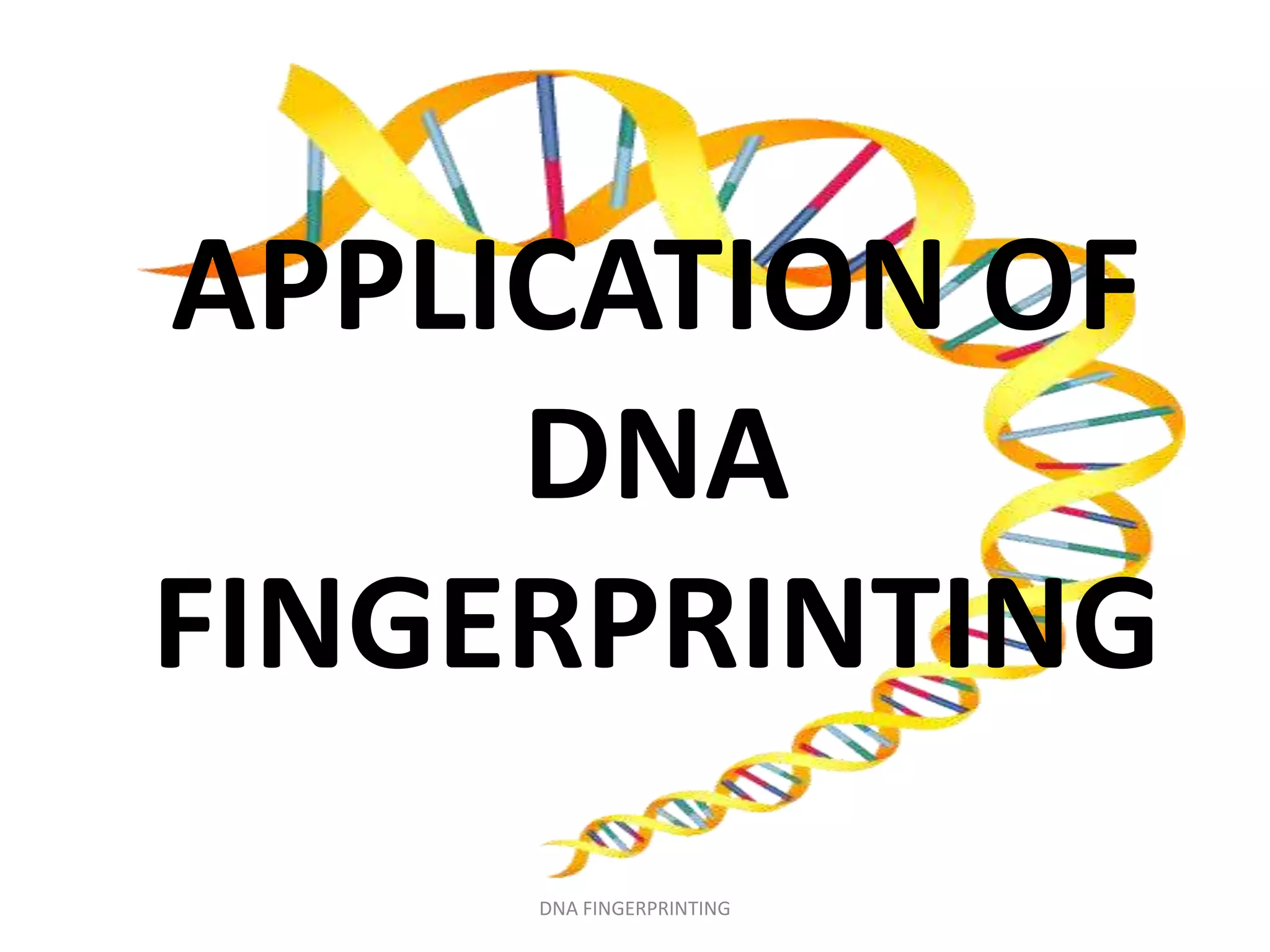 Dna fingerprinting | PPTX