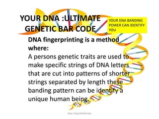 Dna fingerprinting | PPT