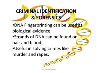 Dna fingerprinting | PPT
