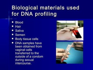 Dna fingerprinting | PPT