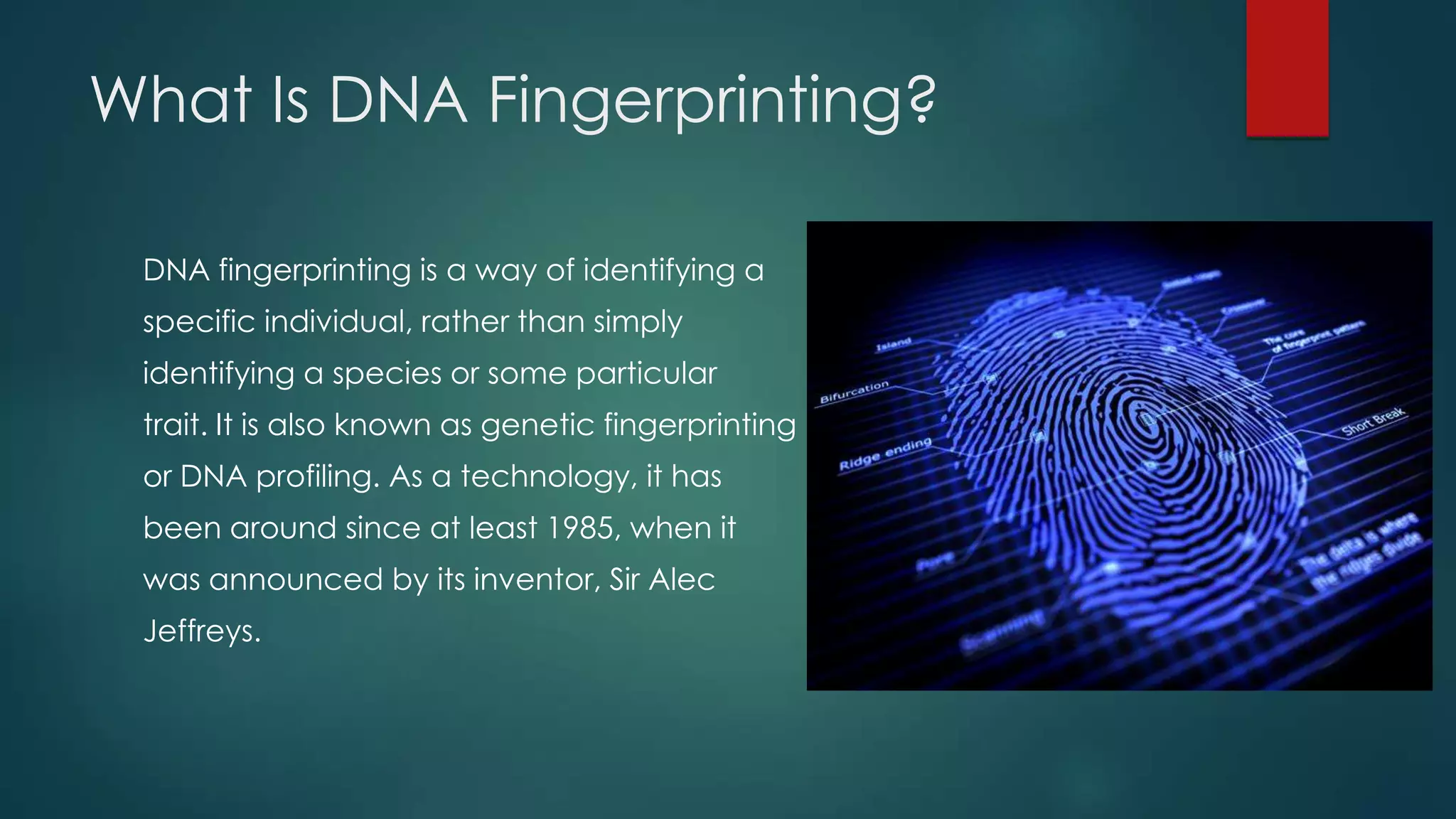 Dna fingerprinting | PPTX