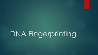 Dna fingerprinting | PPT