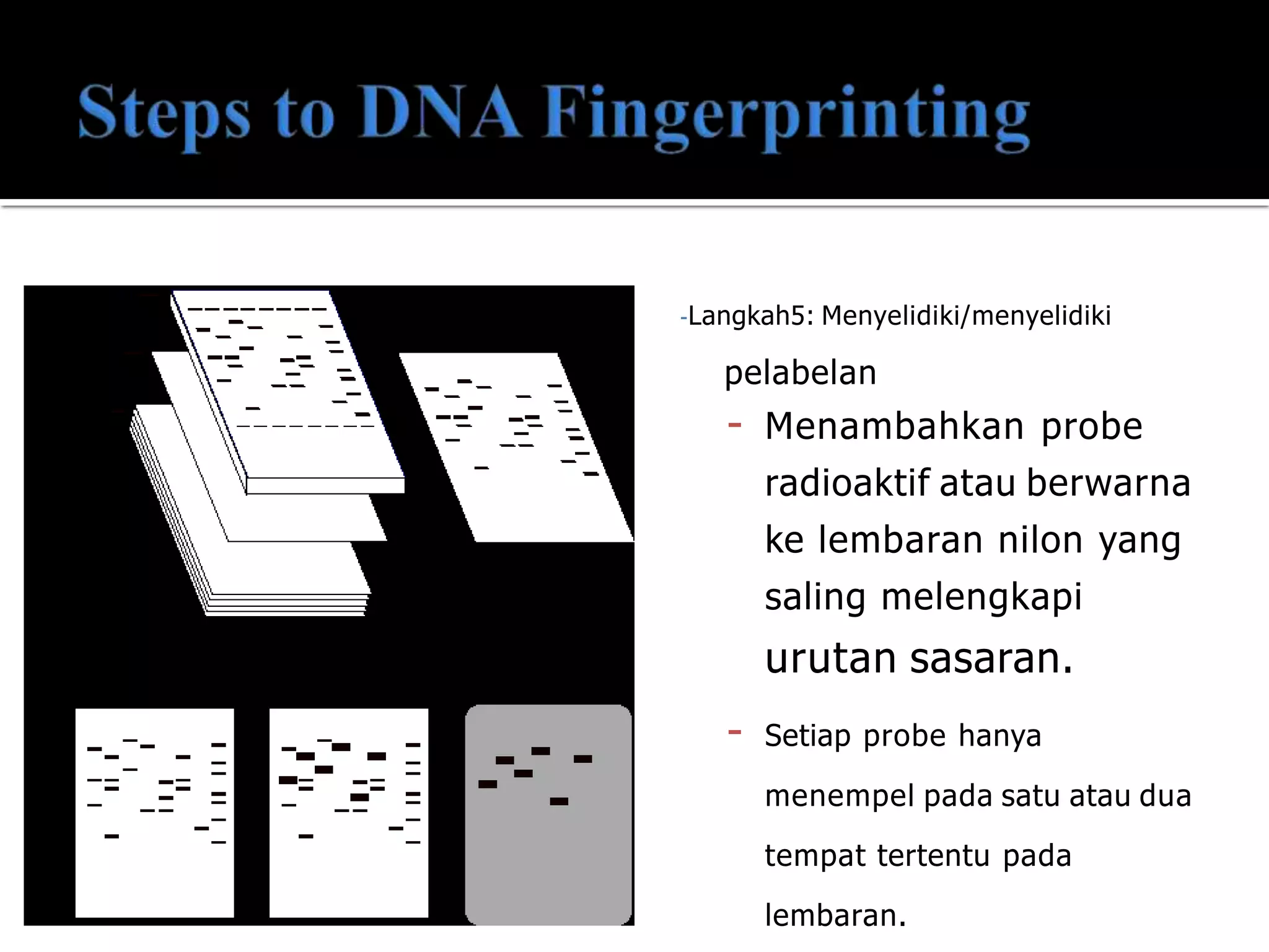 dnafingerprinting-150731110937-lva1-app6892.en.id.pptx