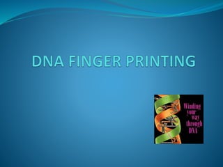 Dna finger printing | PPTX
