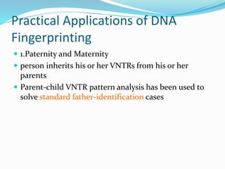 Dna finger printing | PPTX