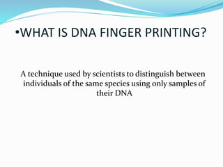 Dna finger printing | PPTX