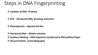 Dna fingerprinting | PPT