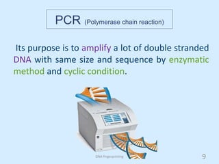 Dna fingerprinting | PPTX