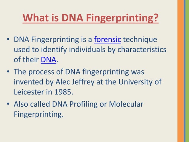 Dna fingerprinting | PPTX | Genetics | Science