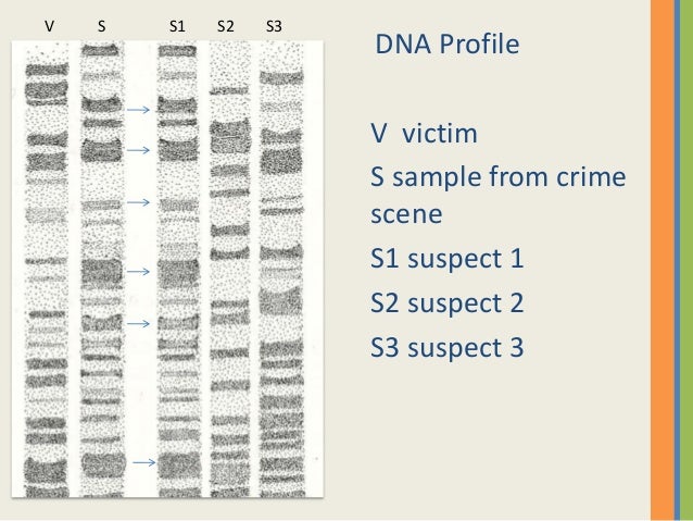 Dna Fingerprinting