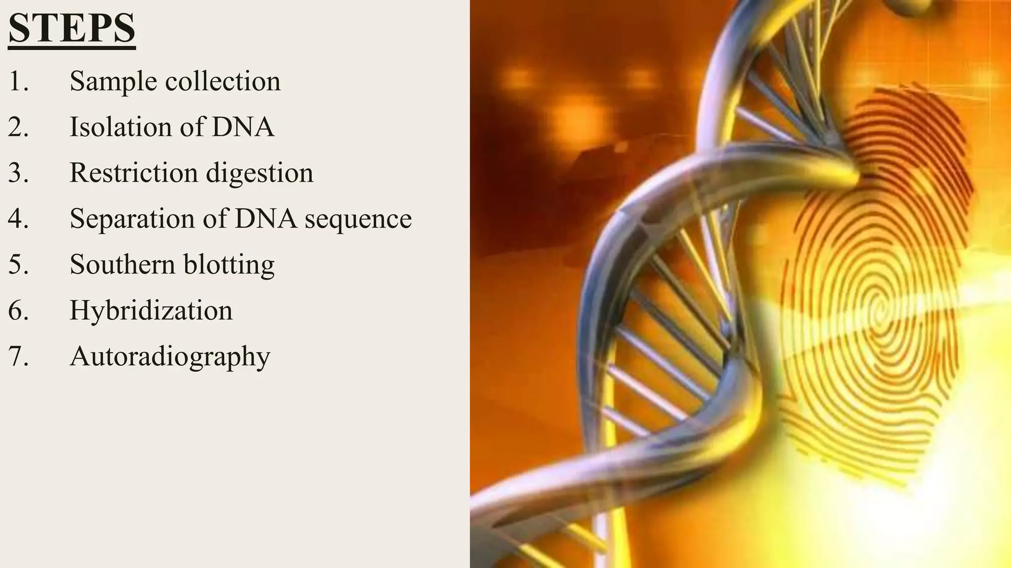 Dna finger printing | PPTX