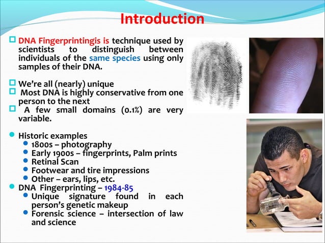 DNA fingerprinting | PPT | Genetics | Science