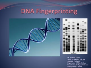 Dna fingerprinting | PPT
