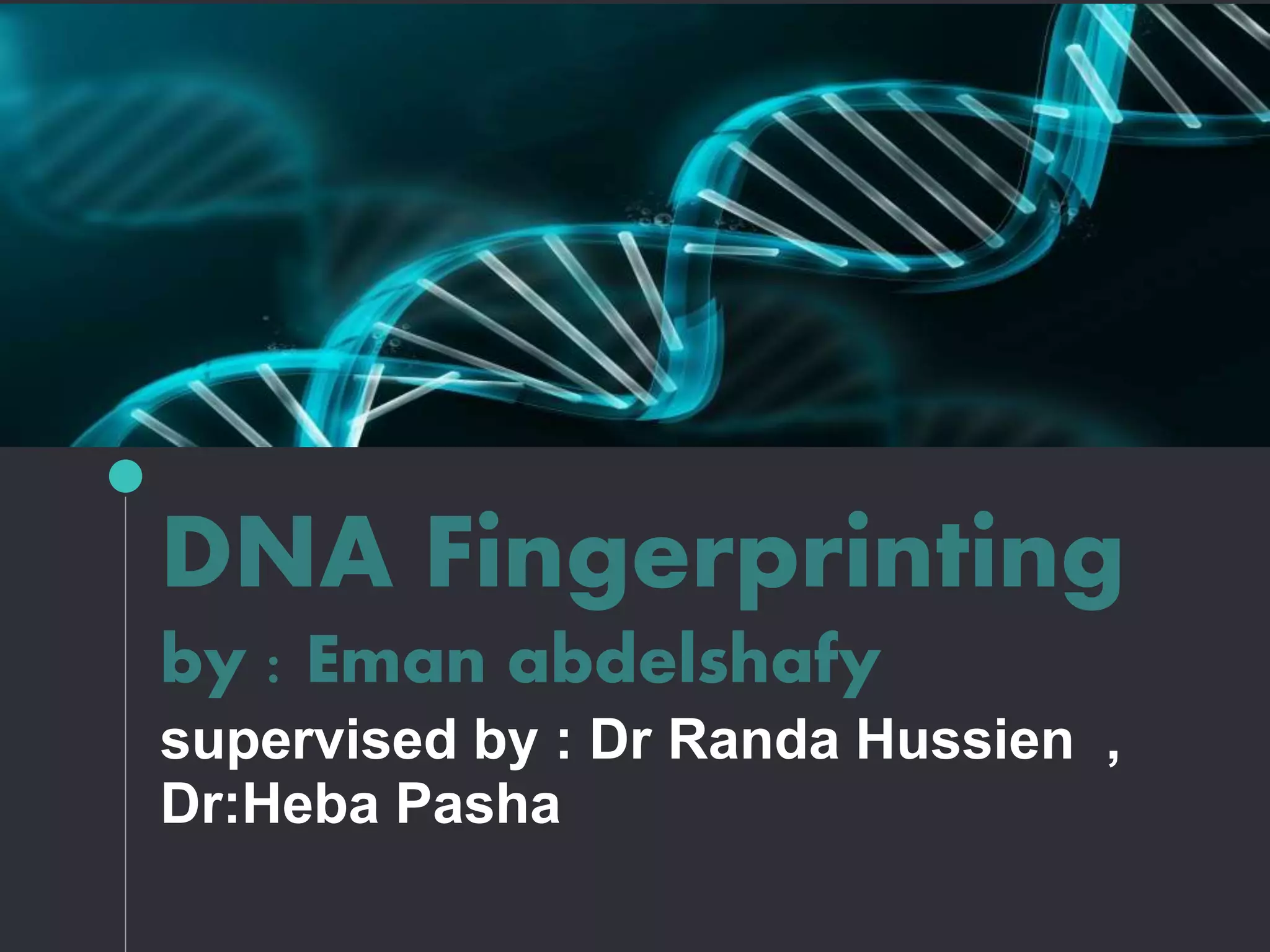 Dna fingerprinting | PPTX | Genetics | Science