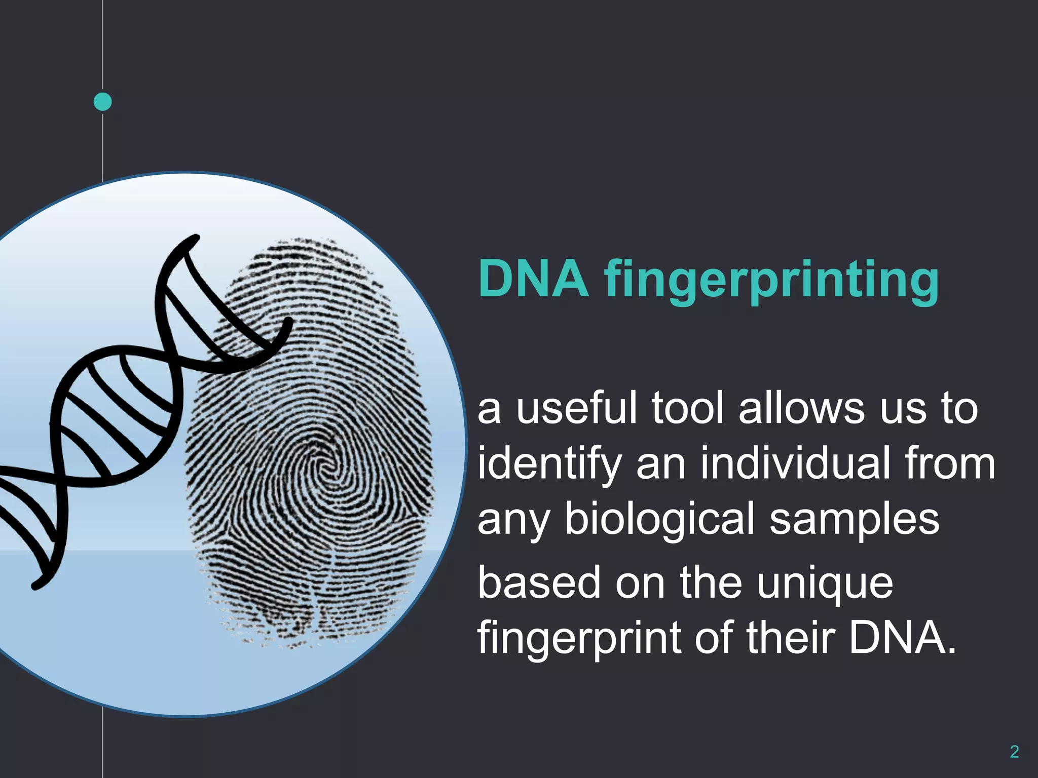 Dna fingerprinting | PPTX | Genetics | Science