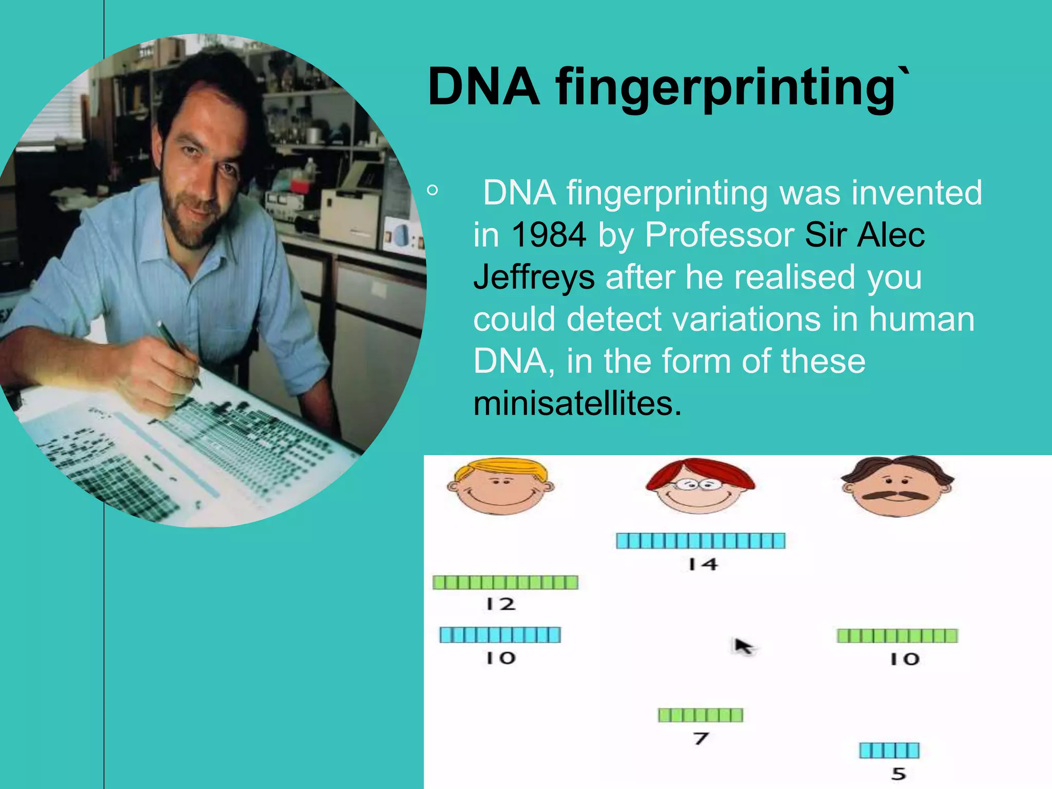 Dna fingerprinting | PPTX | Genetics | Science