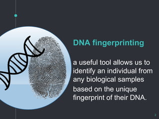 Dna fingerprinting | PPTX | Genetics | Science