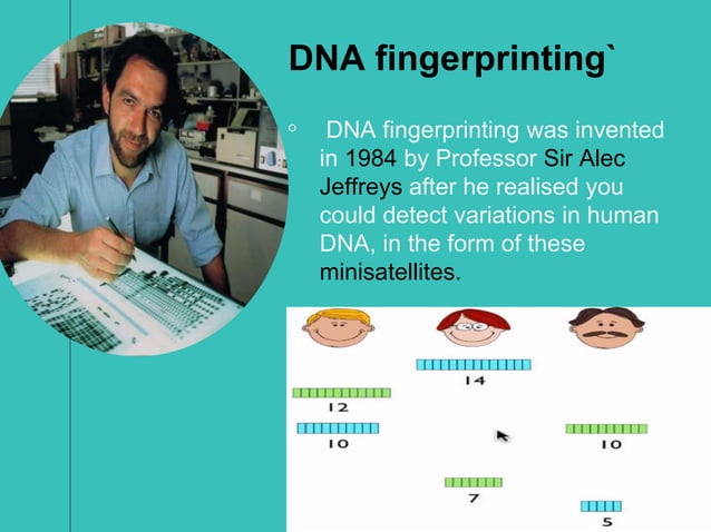 Dna fingerprinting | PPT
