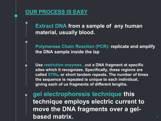 Dna fingerprinting | PPTX