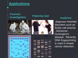 Dna fingerprinting | PPTX | Genetics | Science