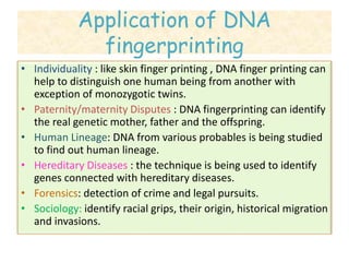Dna fingerprinting | PPTX